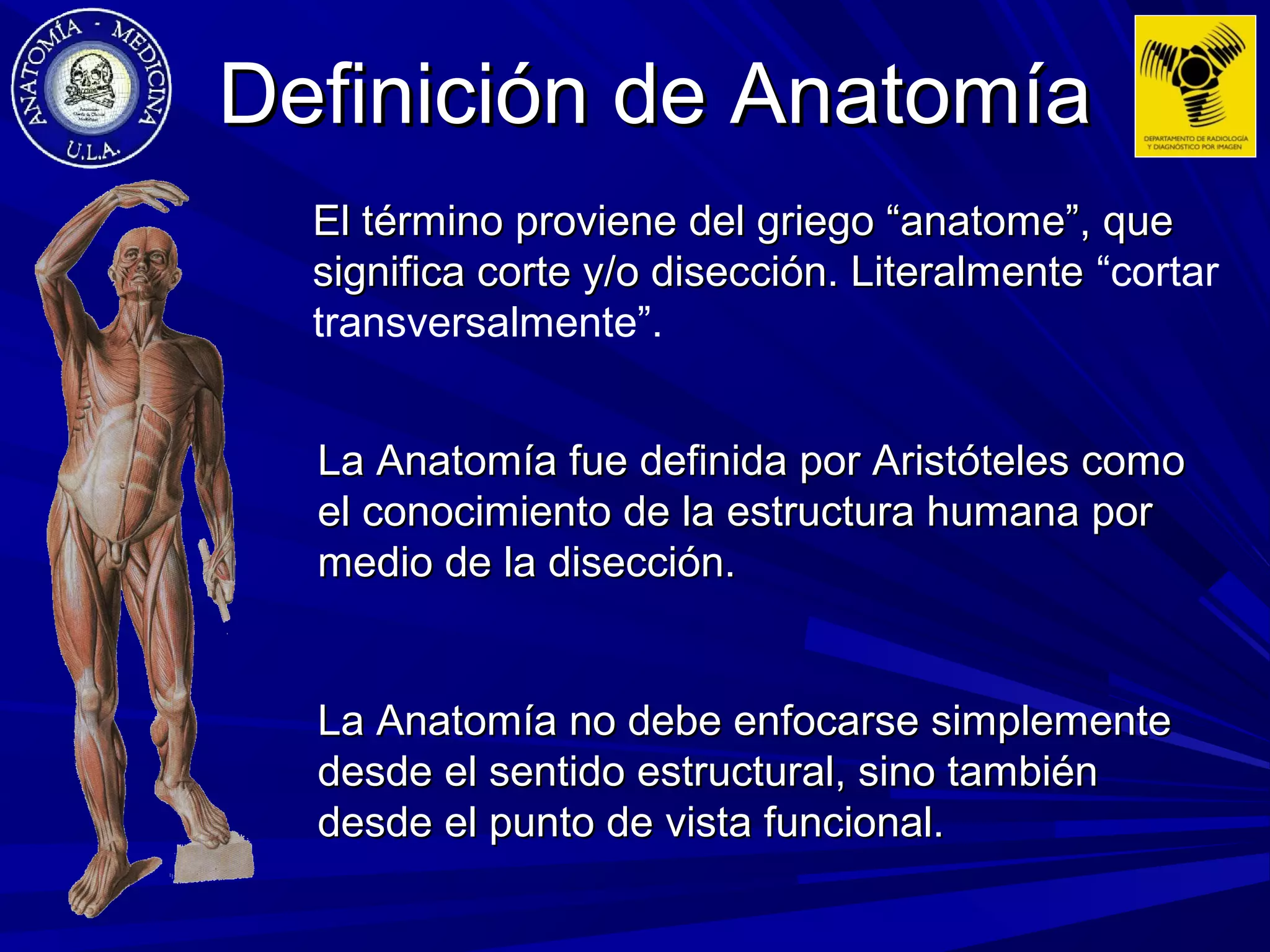 Anatomia posiciones | PPT