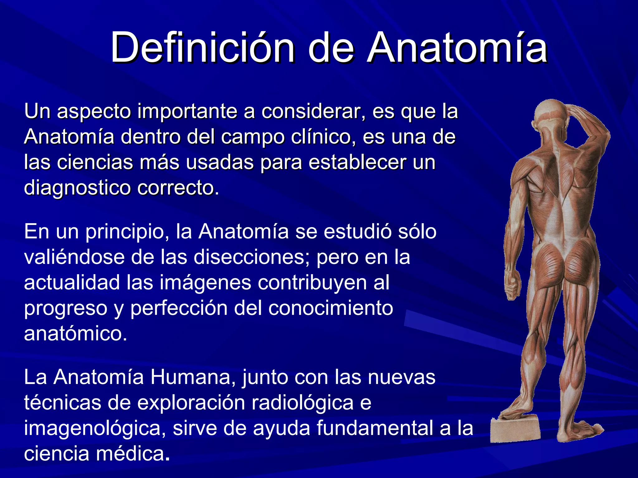 Anatomia posiciones maximo | PPT
