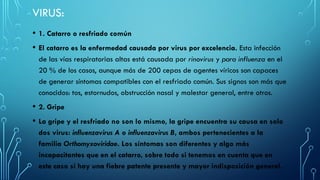 anatomia profe roger.pptxnjxcjshjrklkkkll | PPTX