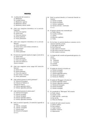 Anatomia quinto secundaria i | DOC