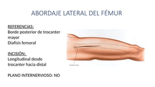 ANATOMIA QUIRUGICA MIEMBROS INFERIORES DE | PPTX