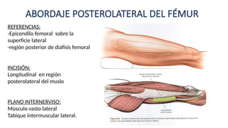 ANATOMIA QUIRUGICA MIEMBROS INFERIORES DE | PPTX