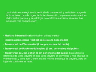 Anatomia quirur pelvis | PPT