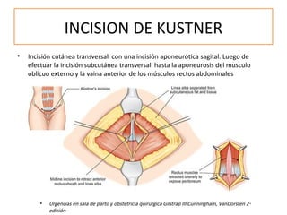 ANATOMIA QUIRURGICA- en pacientes ginecológica | PPTX