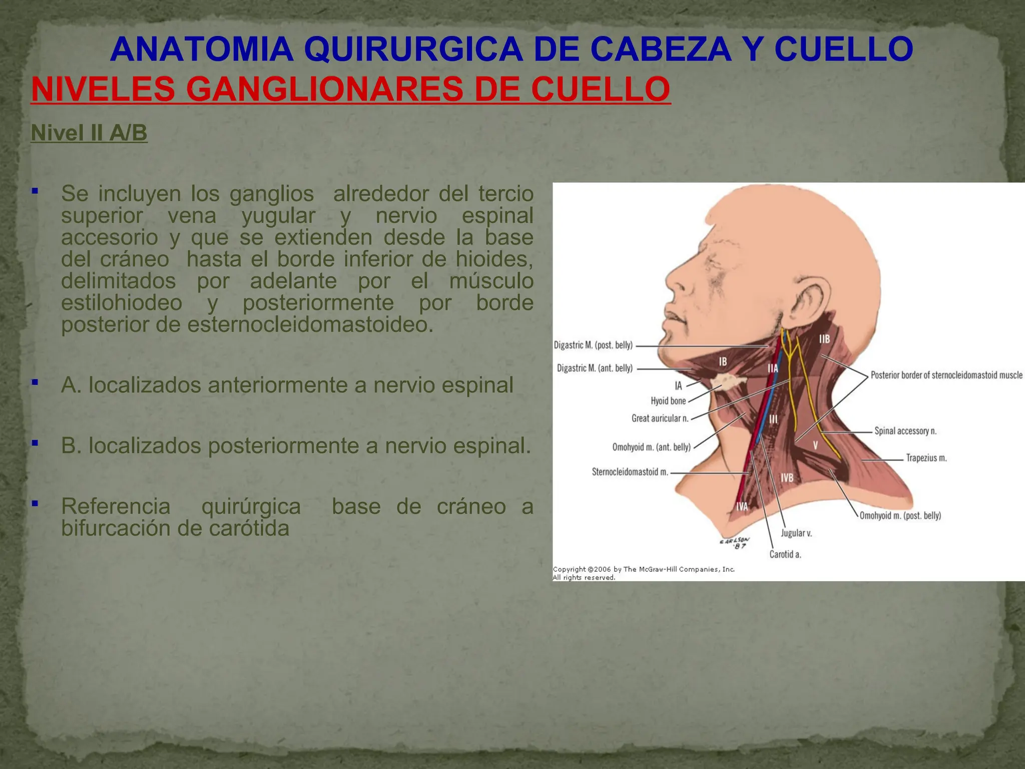 ANATOMIA humana quirurgica de CABEZA Y CUELLO.pdf
