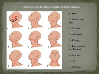 Anatomia quirurgica de cabeza y cuello | PPT