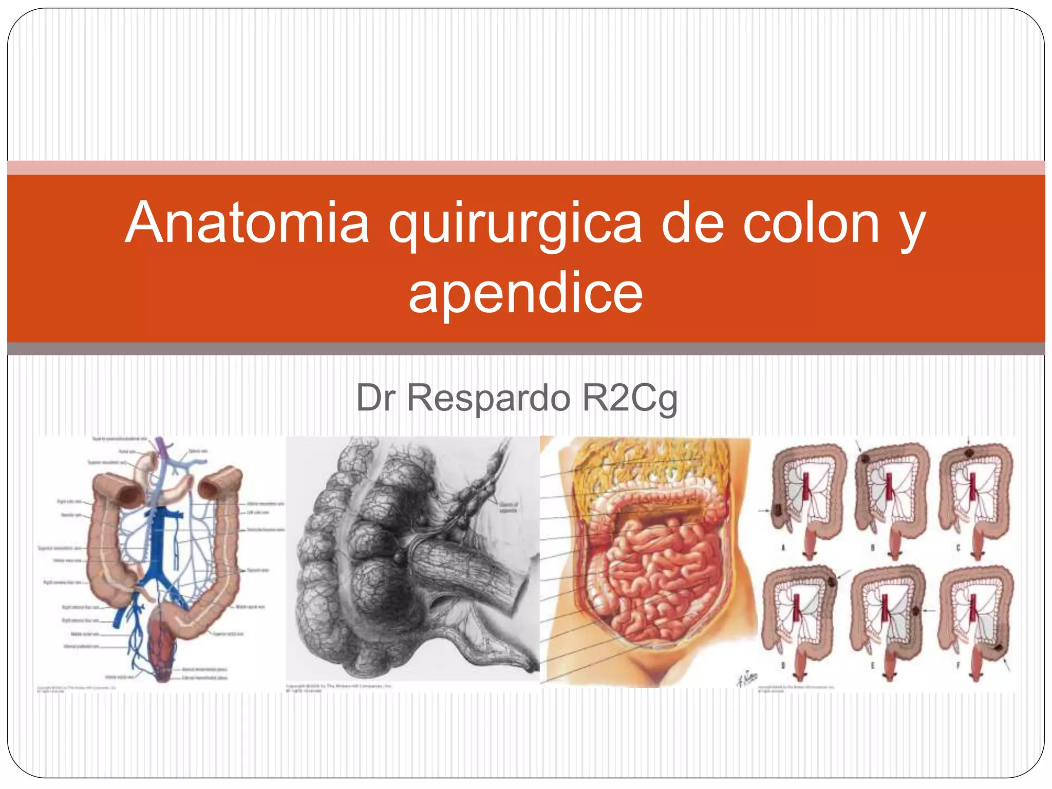 Anatomia quirurgica de colon y apendice | PPTX