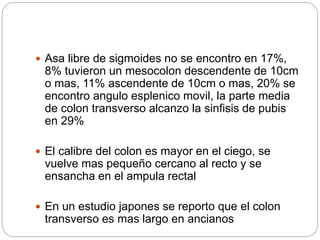 Anatomia quirurgica de colon y apendice | PPTX