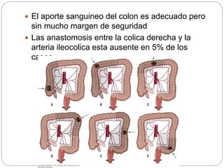Anatomia quirurgica de colon y apendice | PPTX