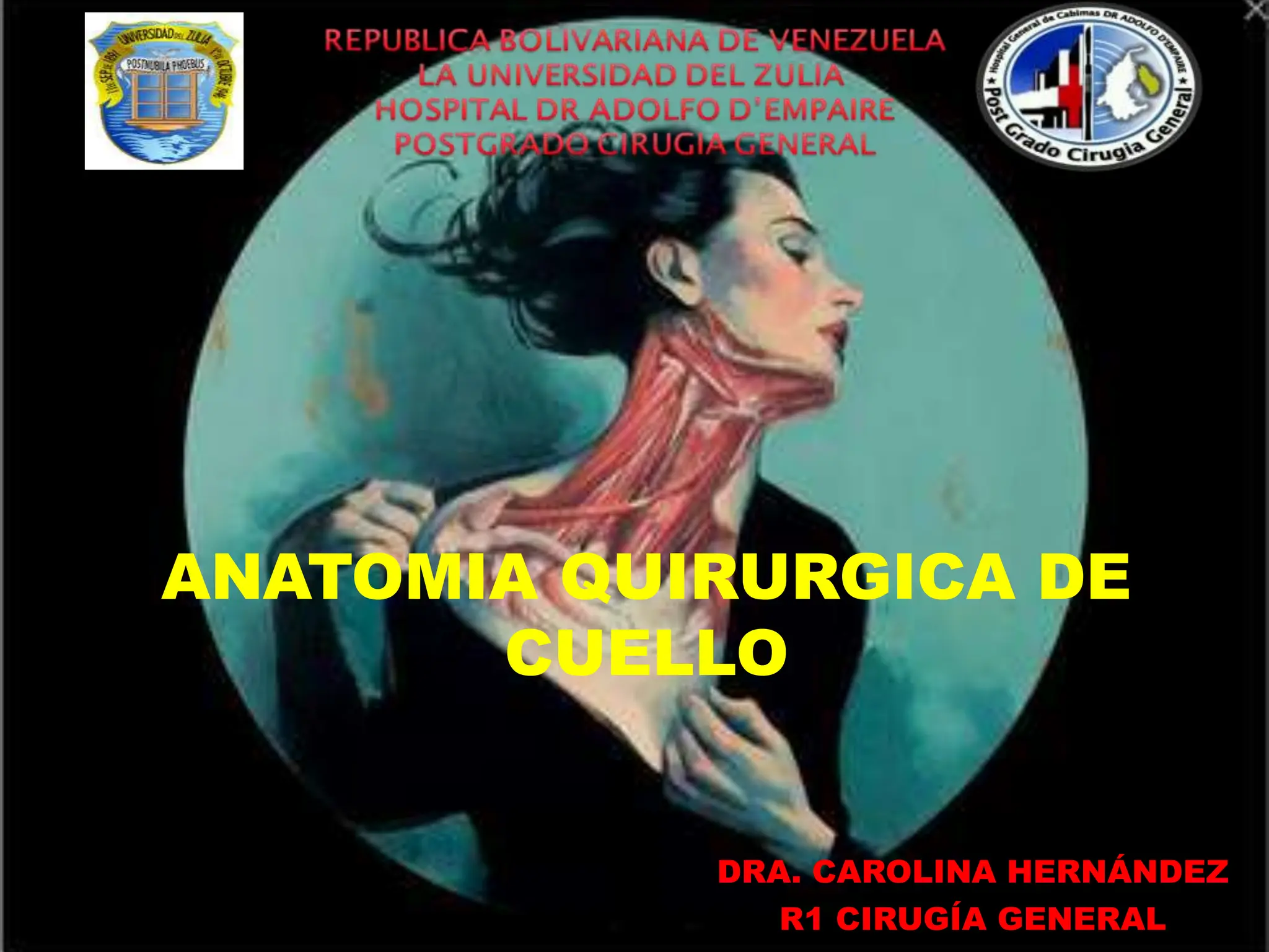 Anatomía Quirúrgica Del Cuello Anatomía De La Cabeza Y El Cuello