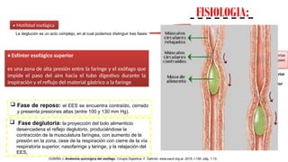 ANATOMIA QUIRURGICA DE ESOFAGO y. ..pptx