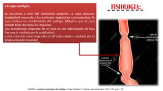 ANATOMIA QUIRURGICA DE ESOFAGO y. ..pptx