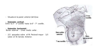 ANATOMIA QUIRURGICA DE LA MAMA.pptx