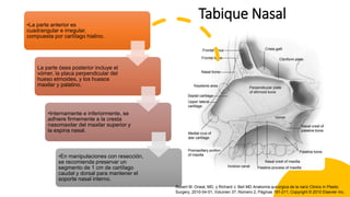 Anatomia quirurgica de la Nariz principios generales.pptx