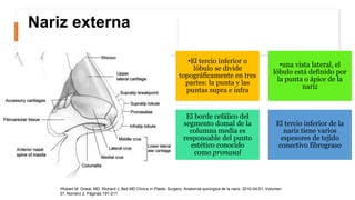 Anatomia quirurgica de la Nariz principios generales.pptx