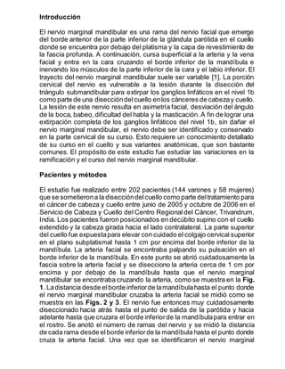 ANATOMIA QUIRURGICA DE LA RAMA MARGINAL MANDIBULAR DEL NERVIO FACIAL | DOCX