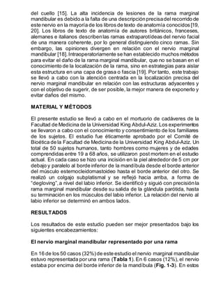 ANATOMIA QUIRURGICA DE LA RAMA MARGINAL MANDIBULAR DEL NERVIO FACIAL | DOCX