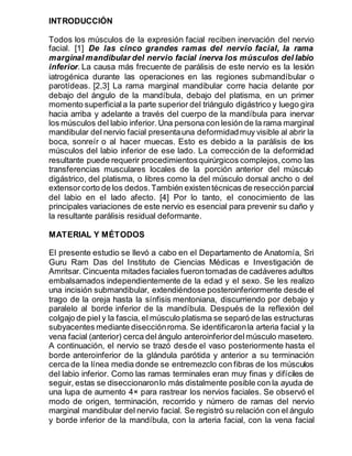 ANATOMIA QUIRURGICA DE LA RAMA MARGINAL MANDIBULAR DEL NERVIO FACIAL | DOCX