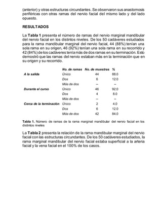 ANATOMIA QUIRURGICA DE LA RAMA MARGINAL MANDIBULAR DEL NERVIO FACIAL | DOCX