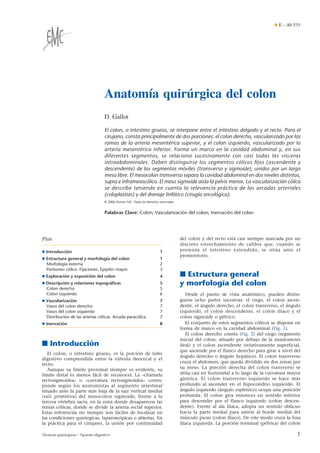 Anatomia quirurgica del colon 2 | PDF