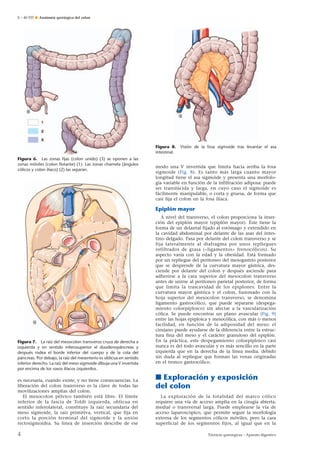 Anatomia quirurgica del colon 2 | PDF