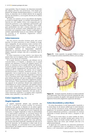 Anatomia quirurgica del colon 2 | PDF