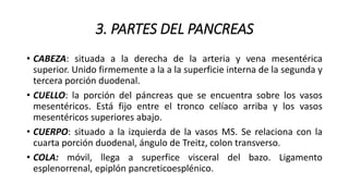 ANATOMIA QUIRURGICA DEL PANCREAS.pptx