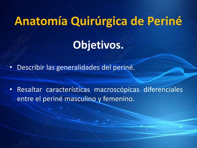 anatomia quirurgica de perine.pptx