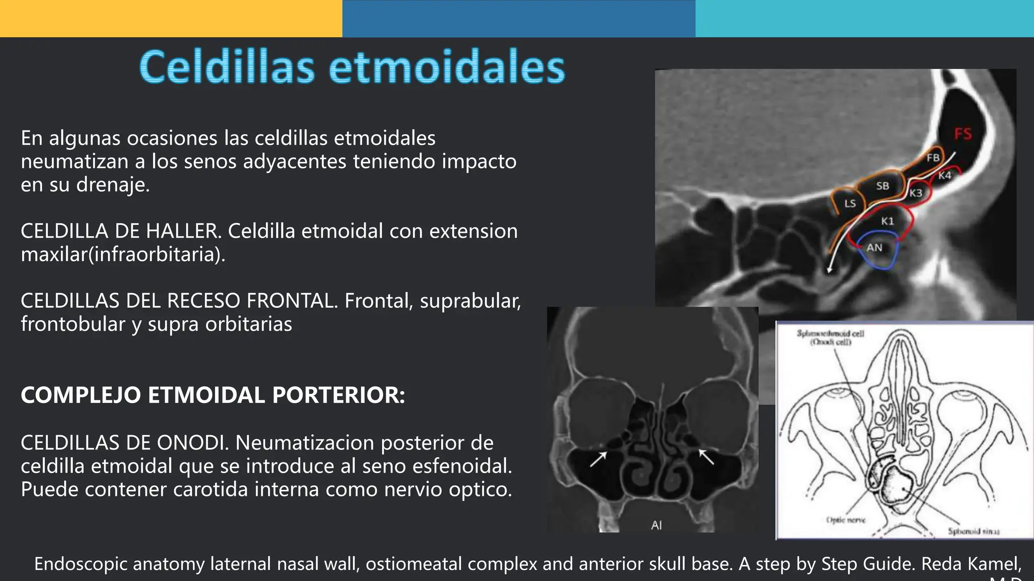 Anatomia quirurgica de Senos paranasales Lismary fellow 2.pptx
