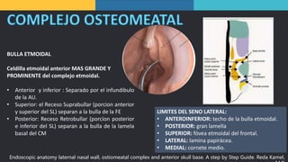 Anatomia quirurgica de Senos paranasales Lismary fellow 2.pptx