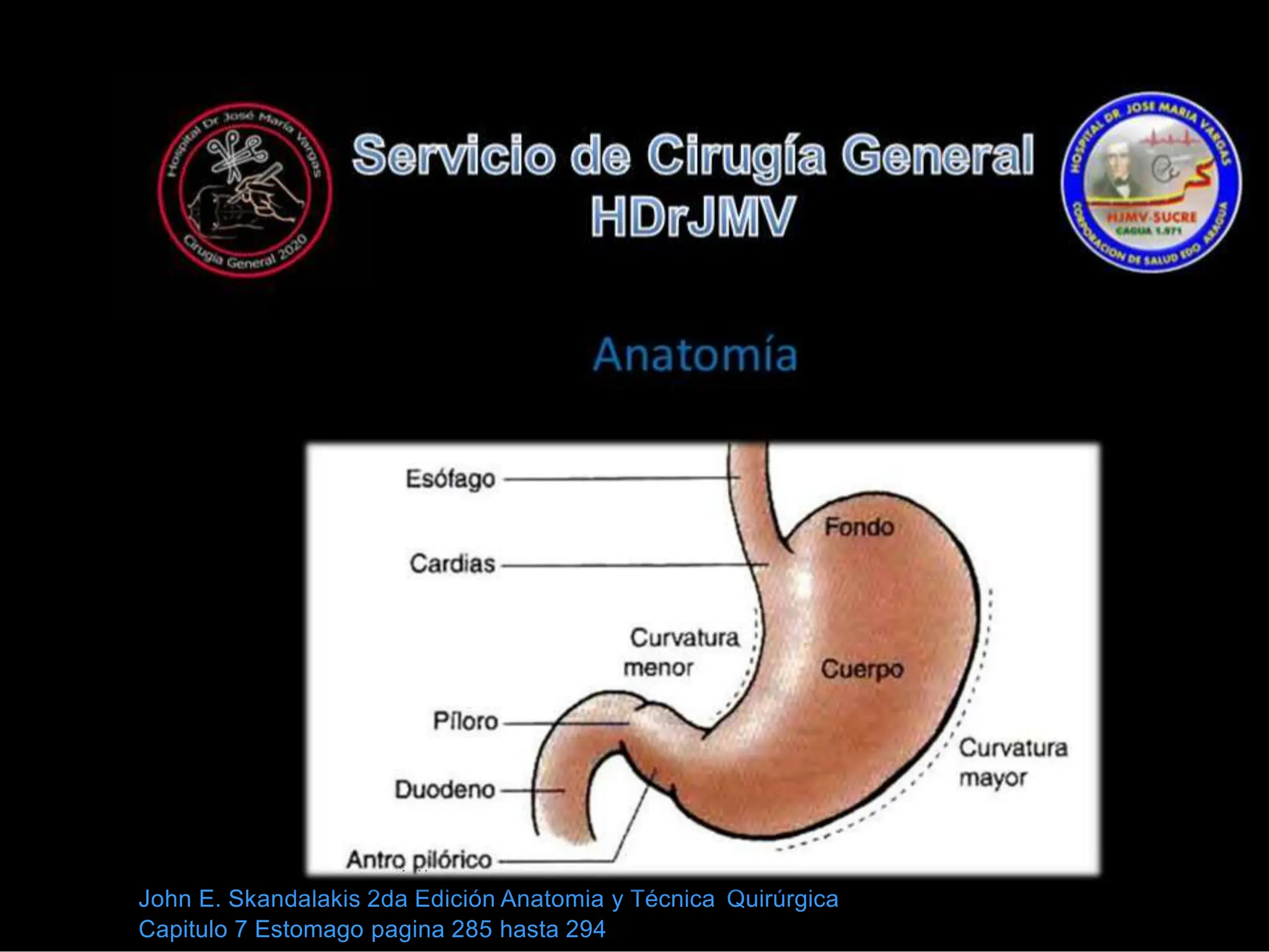 Anatomia Quirurgica Estomago & Piloroplastias.pptx