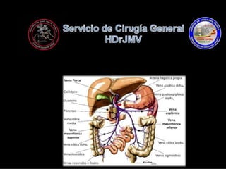 Anatomia Quirurgica Estomago & Piloroplastias.pptx
