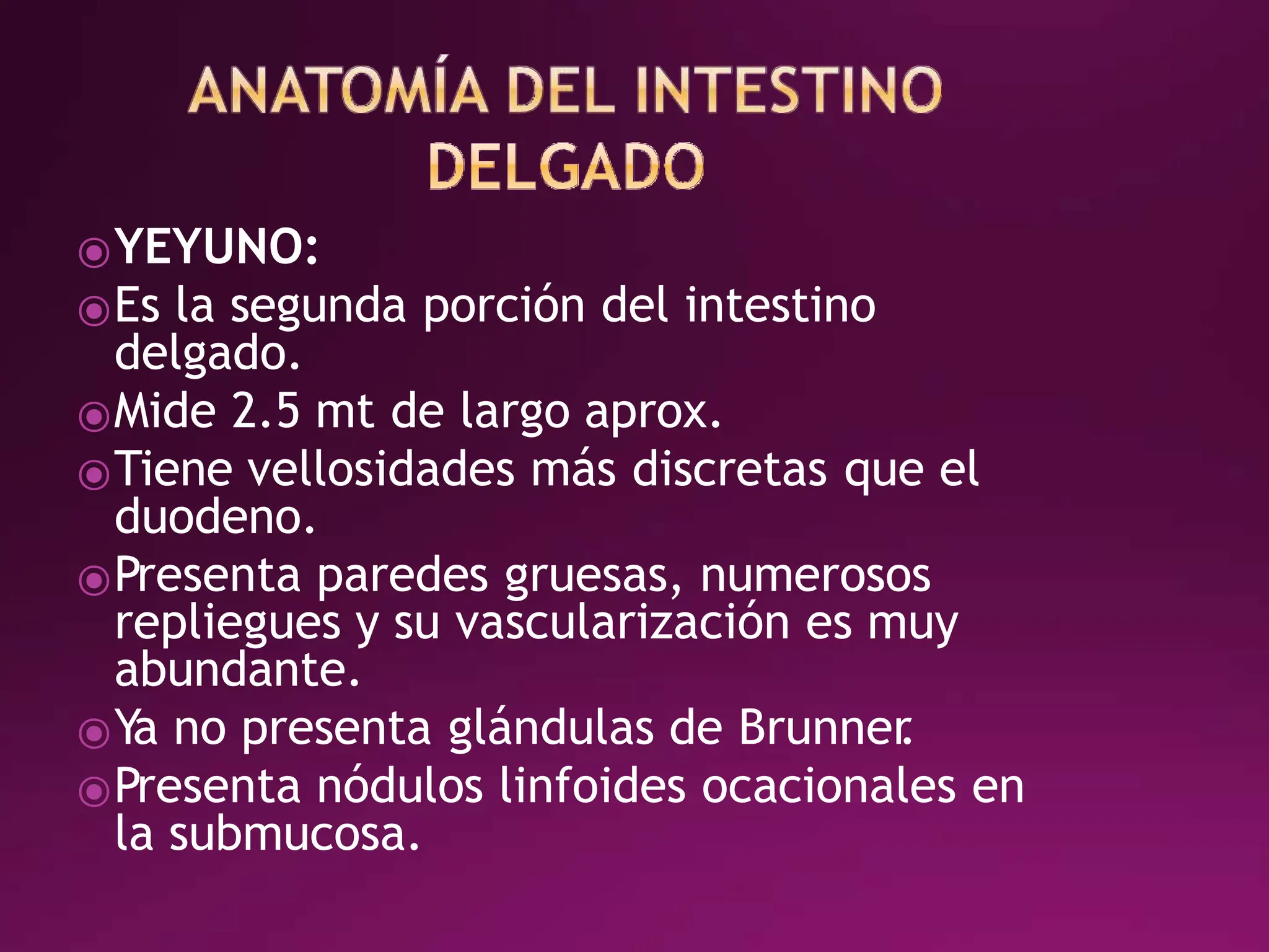 anatomia quirurgica intestino delgado.pptx