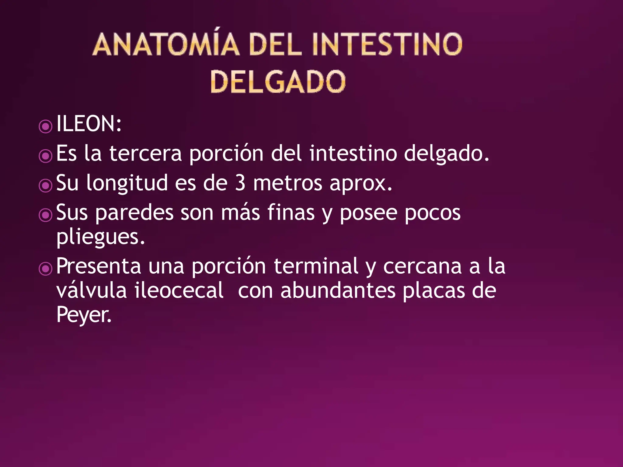 anatomia quirurgica intestino delgado.pptx