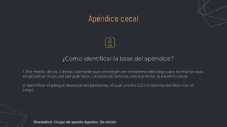 anatomiaqxcolon_2[2].pptx