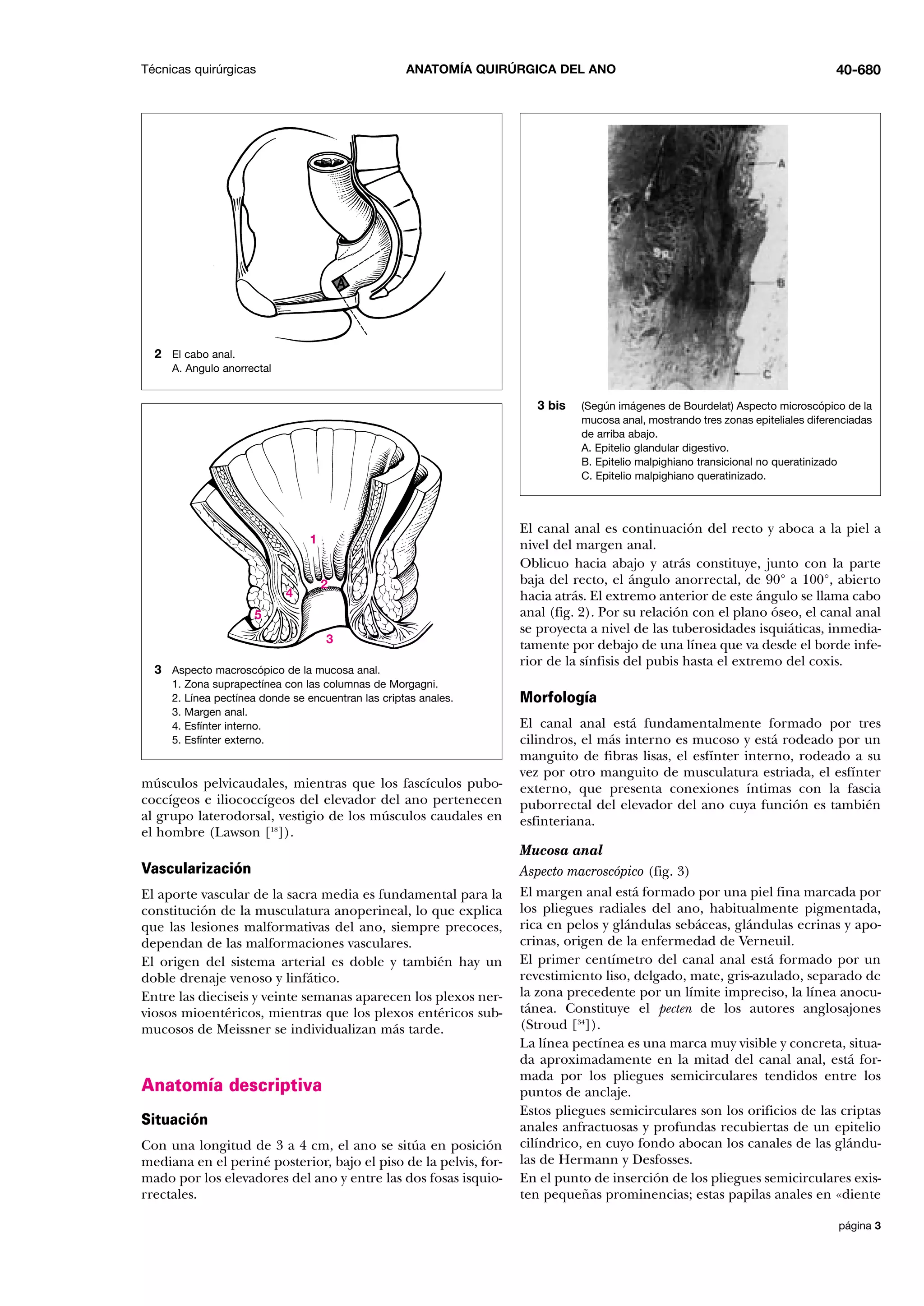 Anatomia Qx del ano.pdf