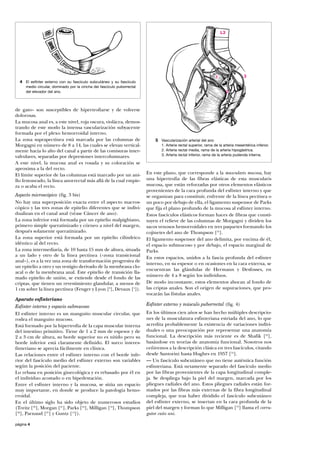 Anatomia Qx del ano.pdf