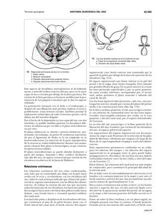 Anatomia Qx del ano.pdf