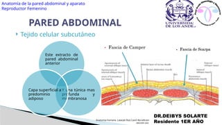 Anatomia Quirurgica de la Pared abdominal | PPTX
