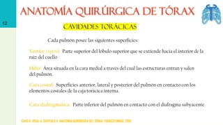 ANATOMIA QUIRURGICA DEL TÓRAX-1 CIRUGIA.pptx