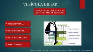 ANATOMIA QX Y FISIOLOGIA DEL HIGADO.pptx