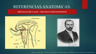 ANATOMIA QX Y FISIOLOGIA DEL HIGADO.pptx