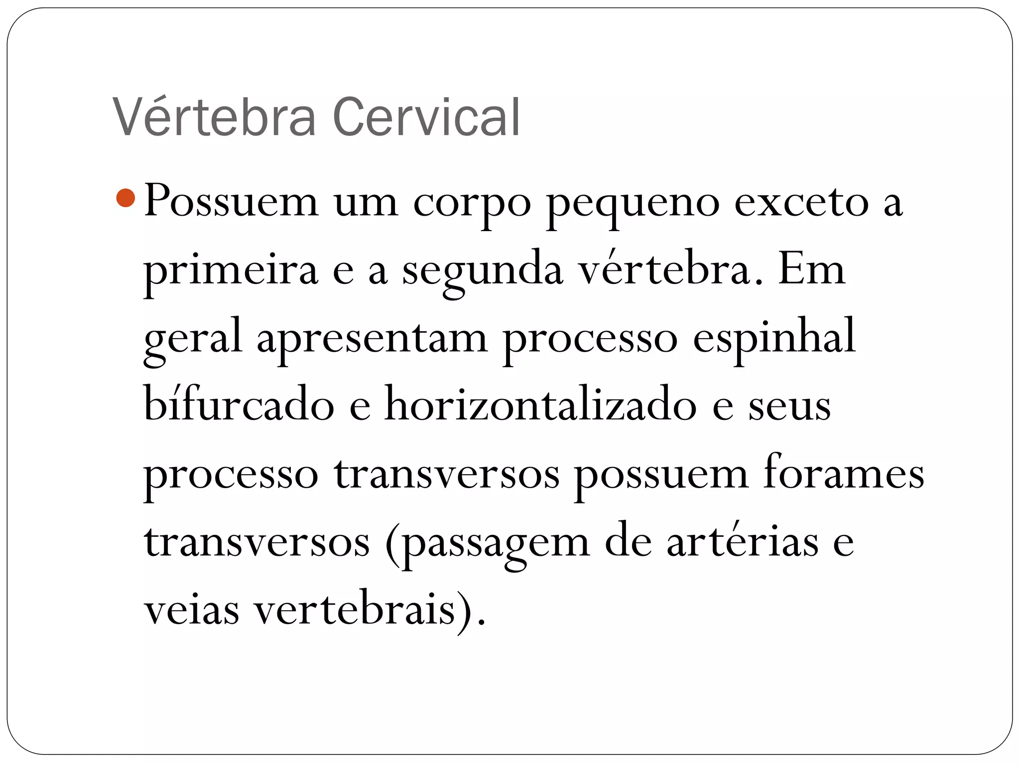 Anatomia radiológica da coluna vertebral | PDF