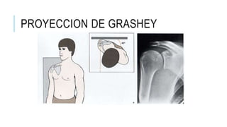 ANATOMIA RADIOLOGICA BASICA.pptx