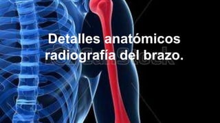 Anatomia radiologica del brazo | PPTX