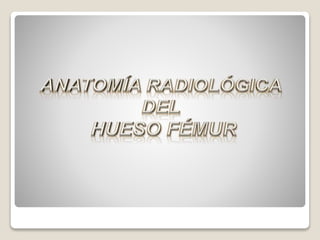 Anatomia radiologica del femur | PPTX