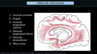 ANATOMIA RADIOLOGICA DE SISTEMA NERVIOSOS CENTRAL | PPTX