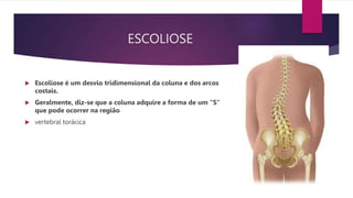 ANATOMIA RADIOLOGICA P.pptx