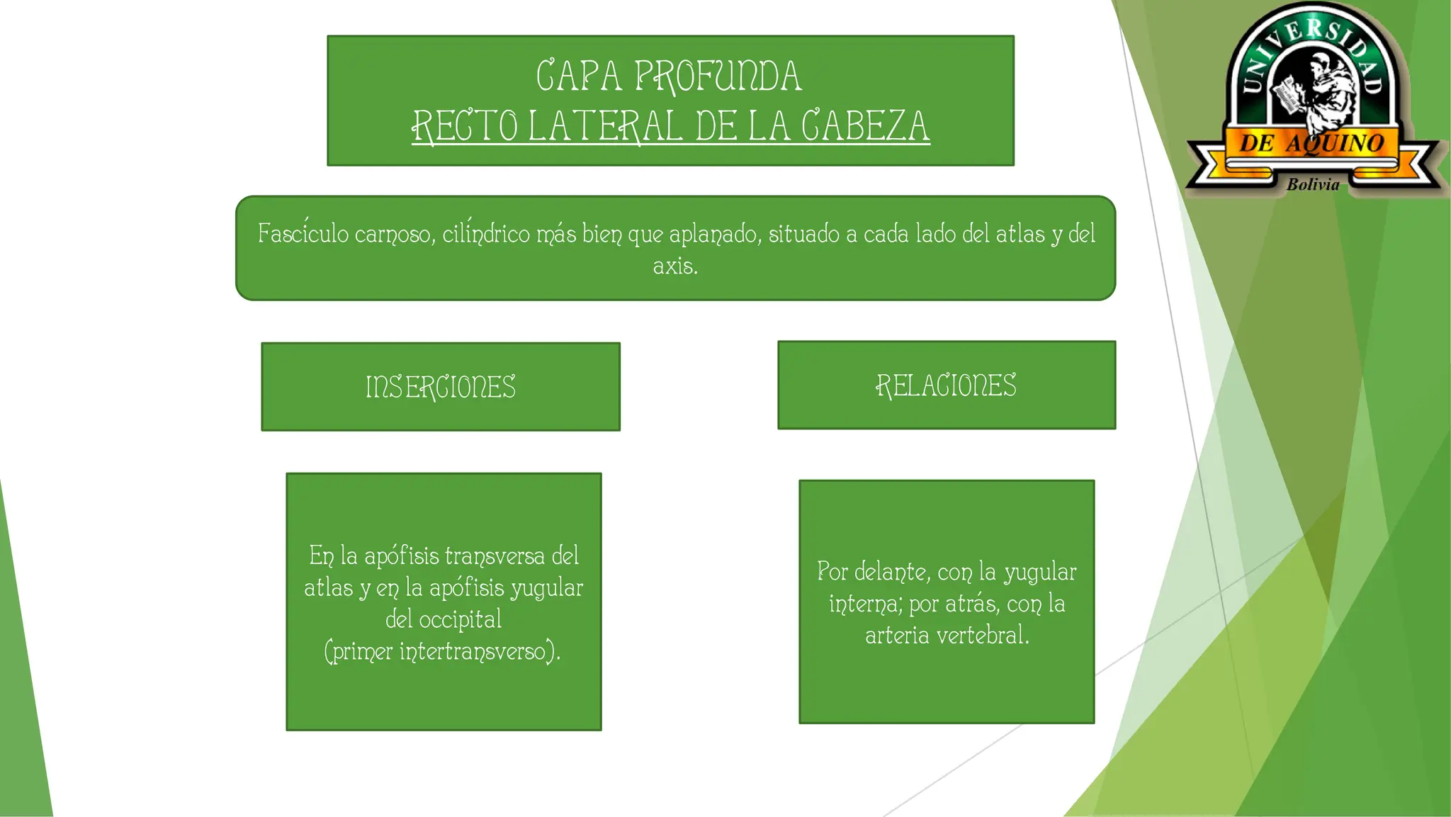 Anatomía Músculos de Region Lateral del cuello.pdf