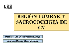 Anatomia Region Lumbar. Del la columna vertebral | PDF